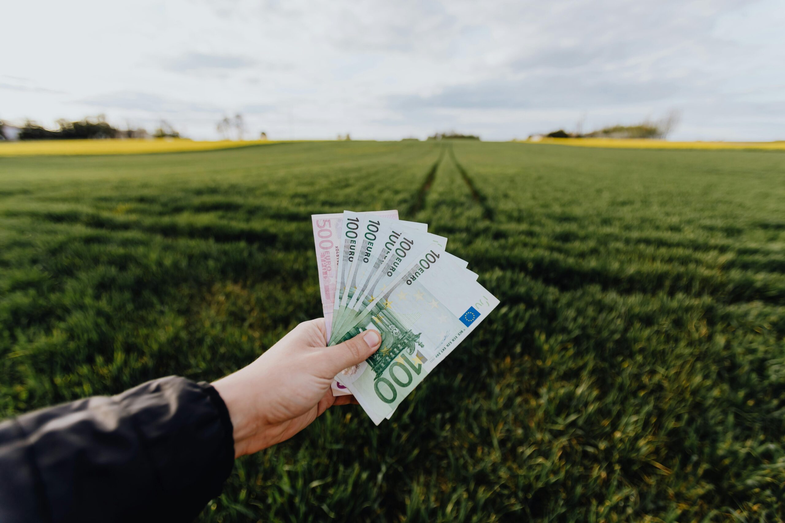 NLP & Geld Verdienen: Kun Je Rijk Worden Met NLP? - #1 Kennisbank